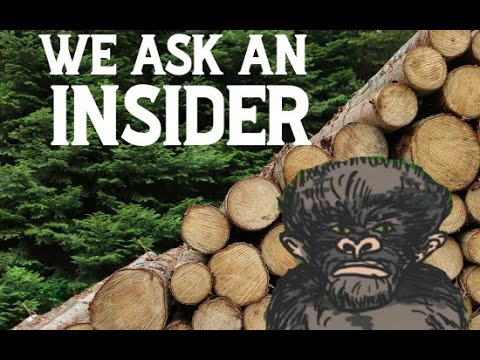 GOOD NEWS: We Ask an Industry Insider - YouTube