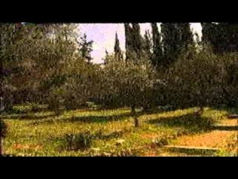 ΙΕΡΟΥΣΑΛΗΜ - ΑΓΙΟΙ ΤΟΠΟΙ - ΠΡΟΣΚΥΝΗΜΑΤΑ - ΑΓΙΟΝ ΦΩΣ - YouTube