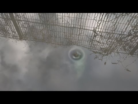 Strange buzzing water🤔😅🐝 - YouTube