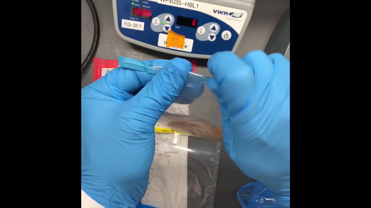 Demonstrating sponge sampling device for food industry - YouTube