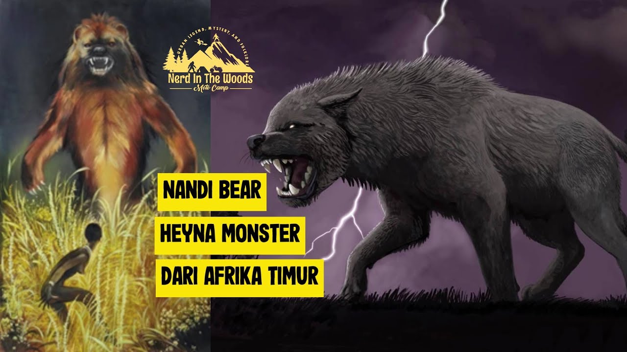 Nandi Bear Hewan Cryptid dari Afrika yang Mirip Heyna Prasejarah - YouTube