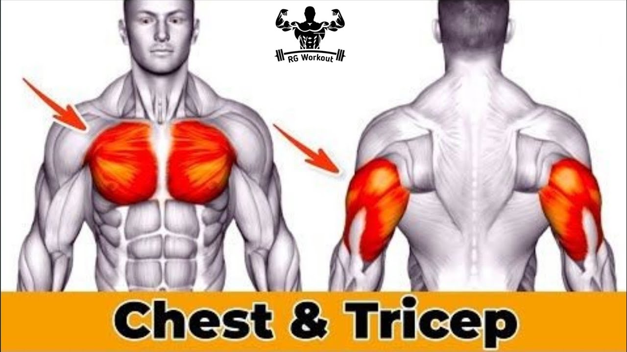 Chest & Triceps Superset Explosion - YouTube