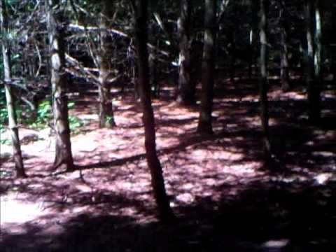 Bruce pit dog park/ parc à chiens - YouTube