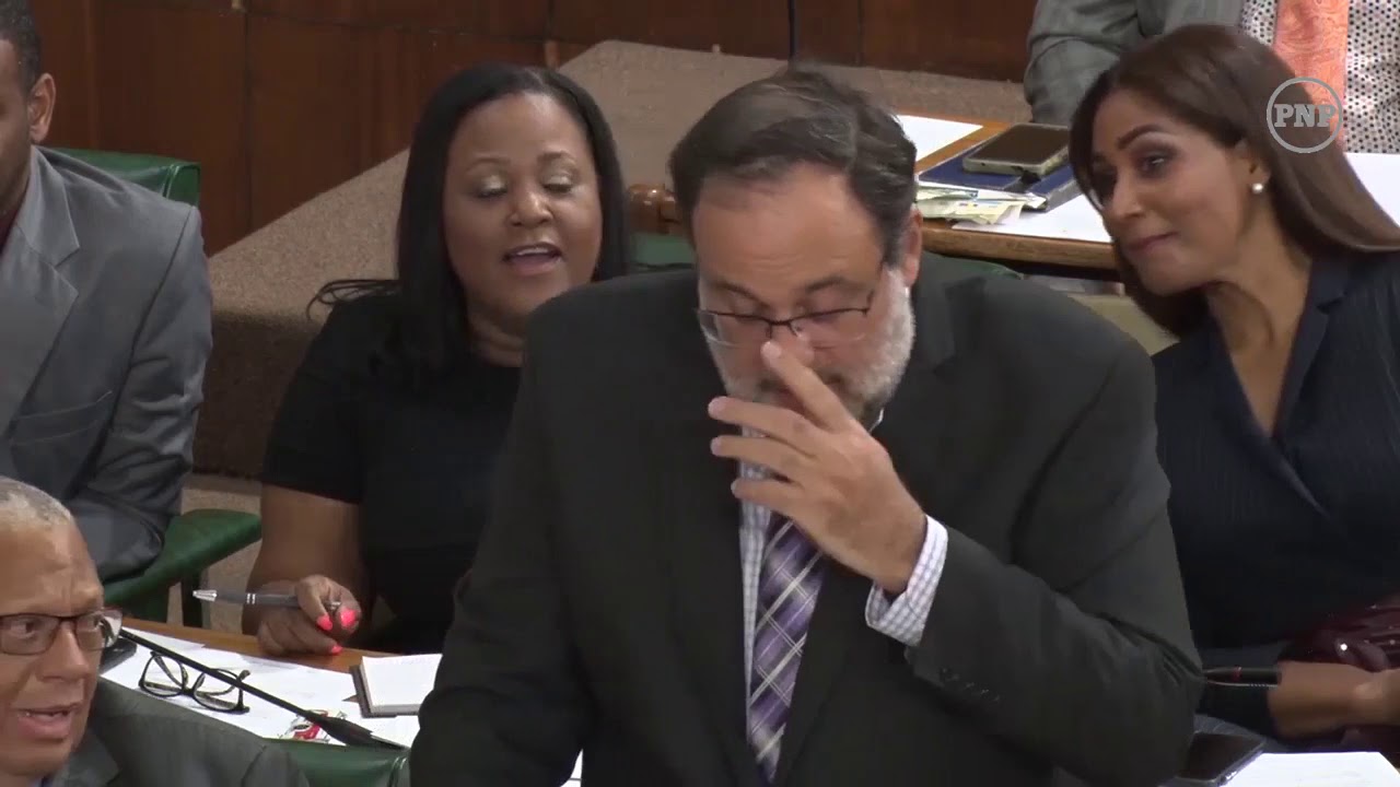 MP Mark Golding - Budget Debate Presentation by Opposition Spokesman on ...