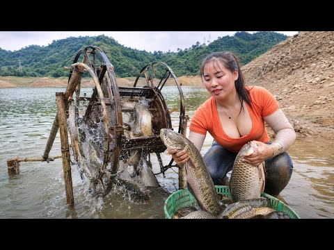 🔥 Beautiful Village Girl Builds an Amazing Water Wheel Fish Trap | Huge Carp & Tilapia Catch!