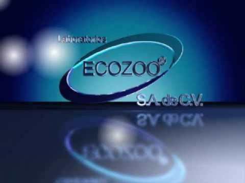 ecozoo - YouTube
