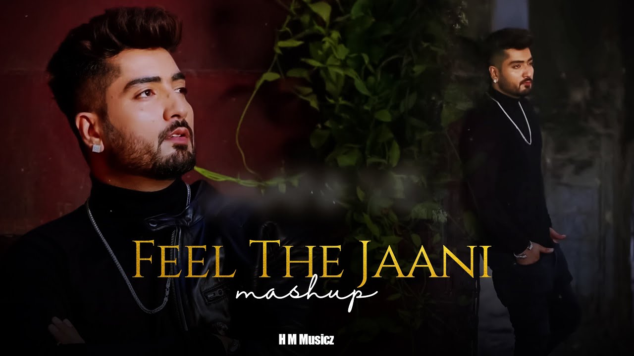 Feel The Jaani Mashup | Jaani | B Praak | Punjabi Sad Songs H M Musicz ...