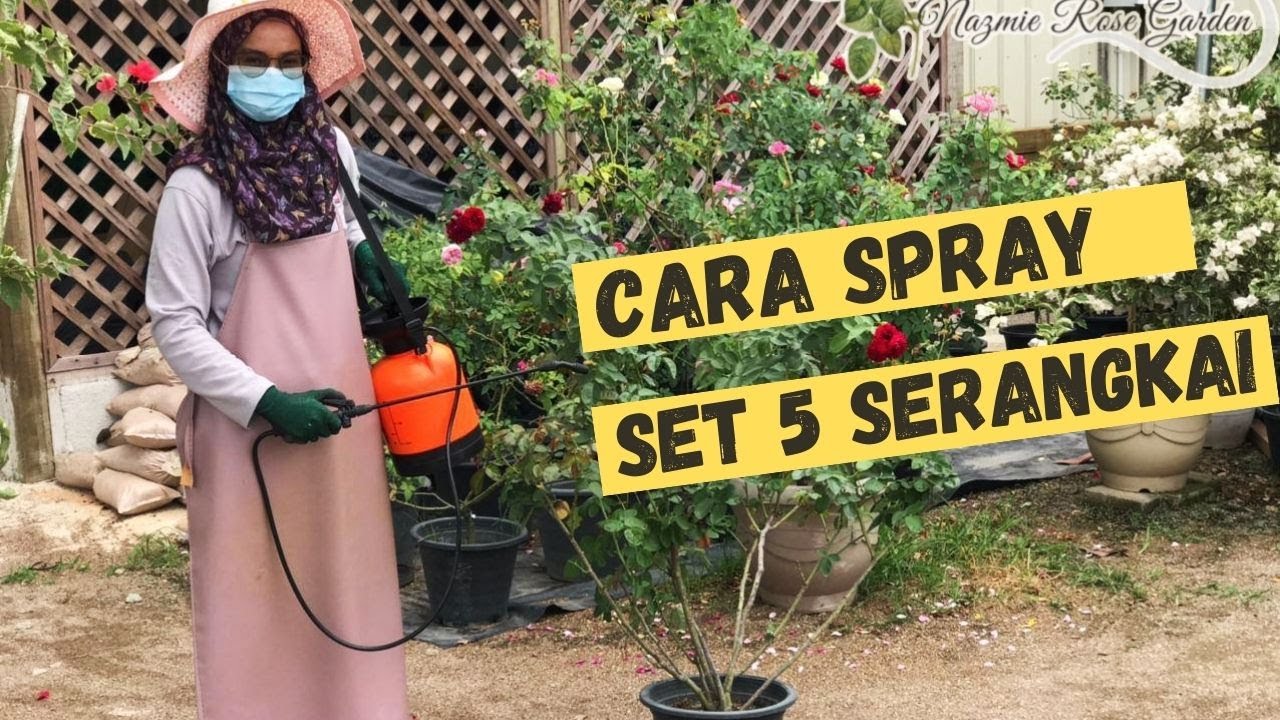 CARA SPRAY SET 5 SERANGKAI - YouTube