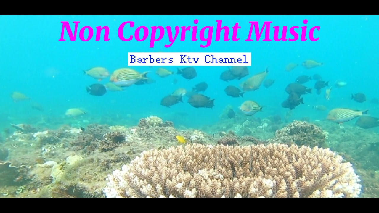 No Cpr music - YouTube