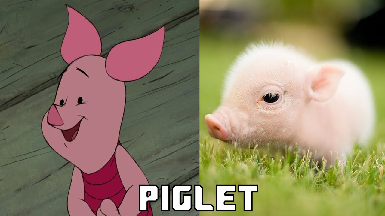 Winnie the Pooh Characters in Real Life 2022 - YouTube