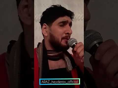 Araz Heyderov - Arkadaş