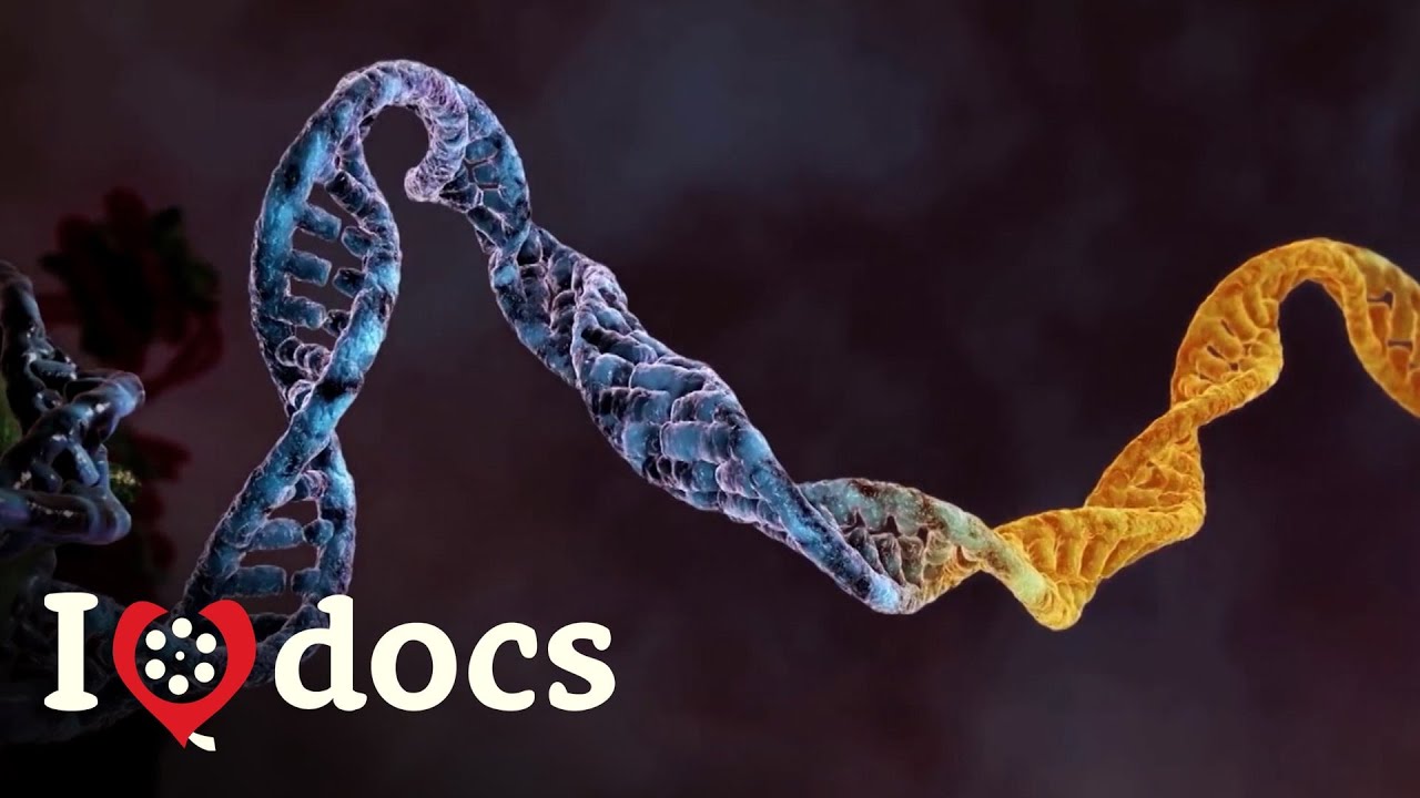 Can We Overcome Our Genetic Limitations? - It's Not All In Our Genes ...