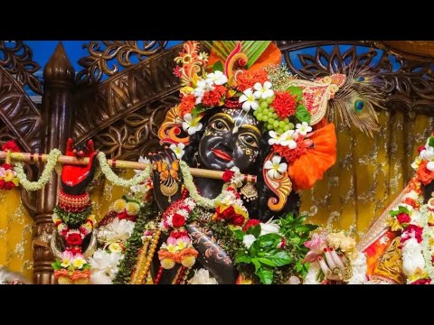 shan ki new video#gopal #radhakrishna #shyam #krishna #vlog # ...