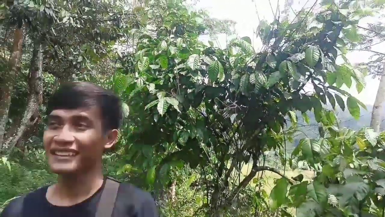 #curug #bogor PESONA KEINDAHAN CURUG CILALAY BOGOR - YouTube
