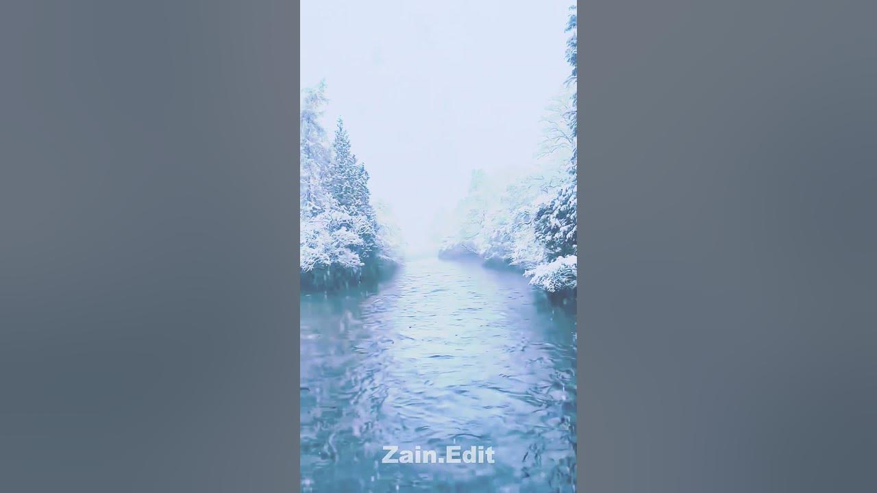 공유 @아름다운꽃https://www.youtube.com/@%EB%82%98%EC%97%B0%EC%8B%9D%EB%8B%B9 ...