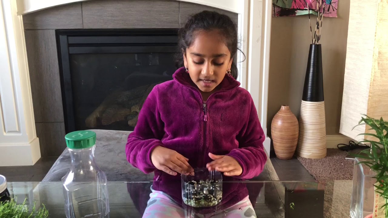 Terrarium - Rainforest in a bottle - YouTube