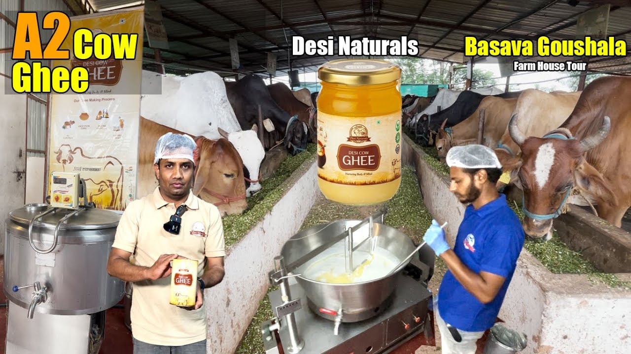Basava Goushala Farm House & Desi Naturals A2 Cow Ghee Made By ...
