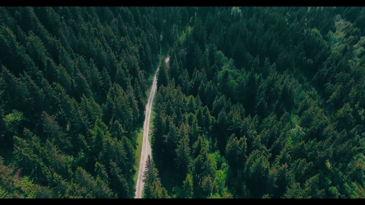 Forest Footage Drone Video | 4K Drone Fly Over Forest - YouTube