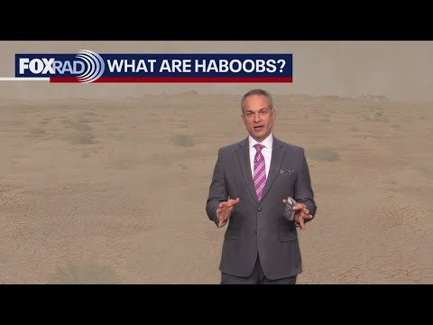EXPLAINER: What are haboobs? - YouTube
