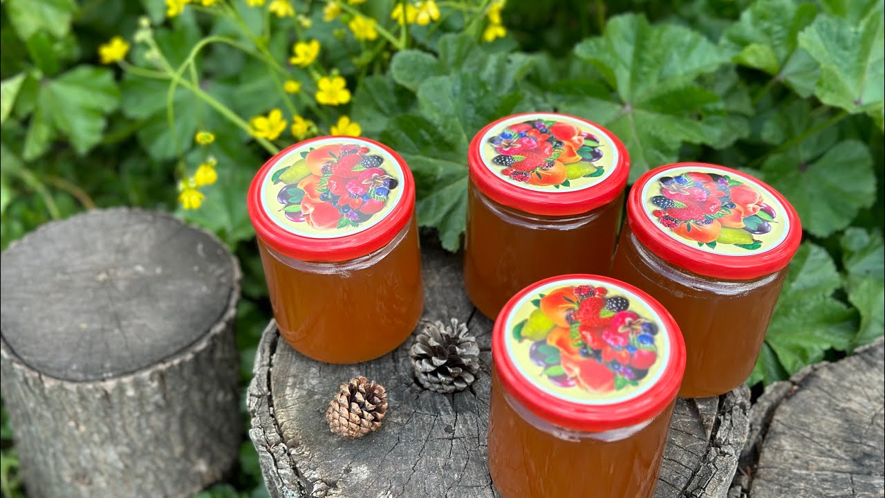 Medicinal Pine honey 🌲лечебен боров мед 🍯doğal çam balı - YouTube