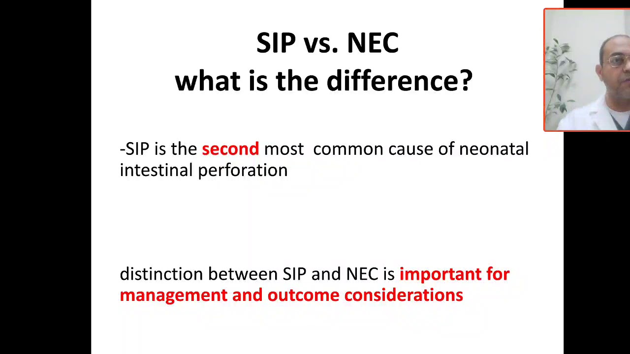 What's the difference between SIP and NEC? spontaneous intestinal ...
