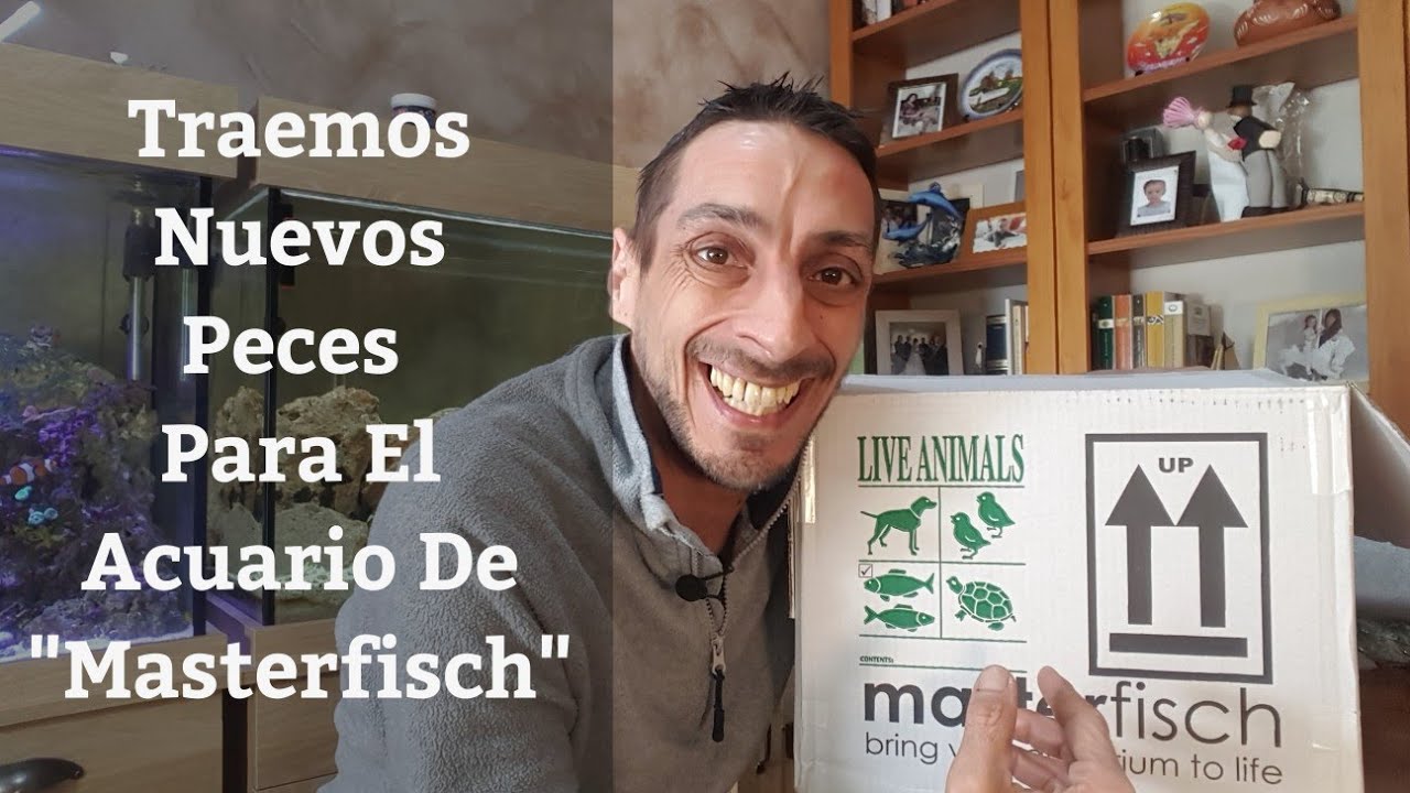 🔵 Traemos Nuevos Peces Para El Acuario De Masterfisch @masterfischde (Acuarios MB) - YouTube