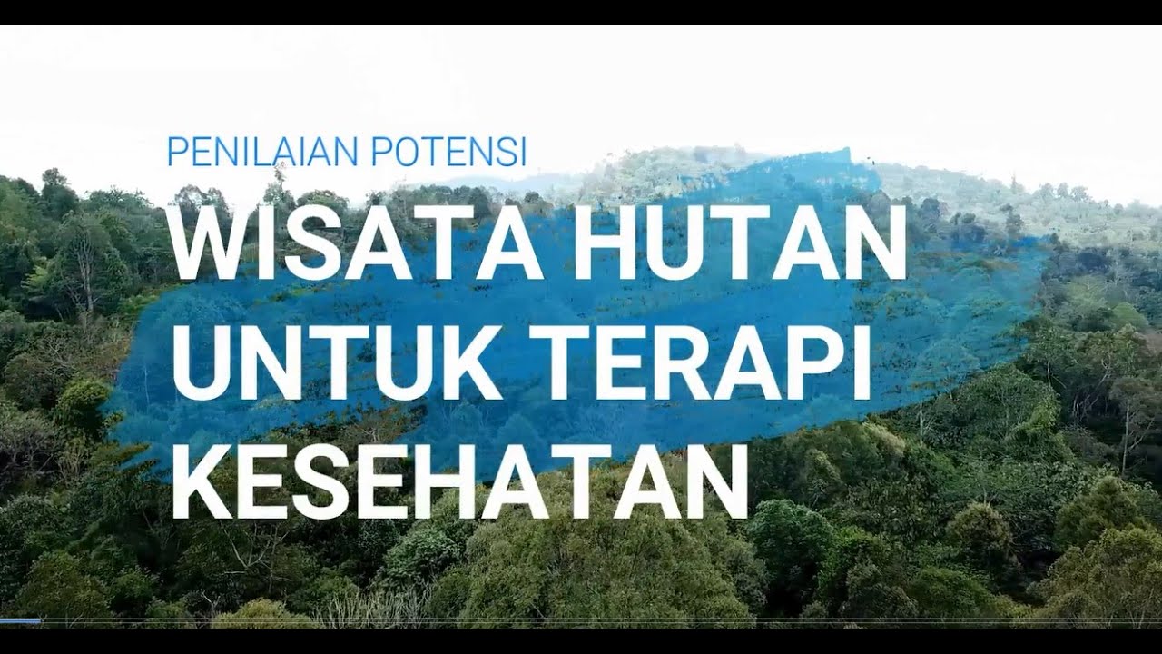 Wisata Hutan untuk Terapi Kesehatan (Healing Forest) - YouTube