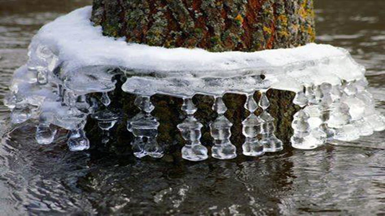 Ice suspended on trees from Winter flooding - YouTube