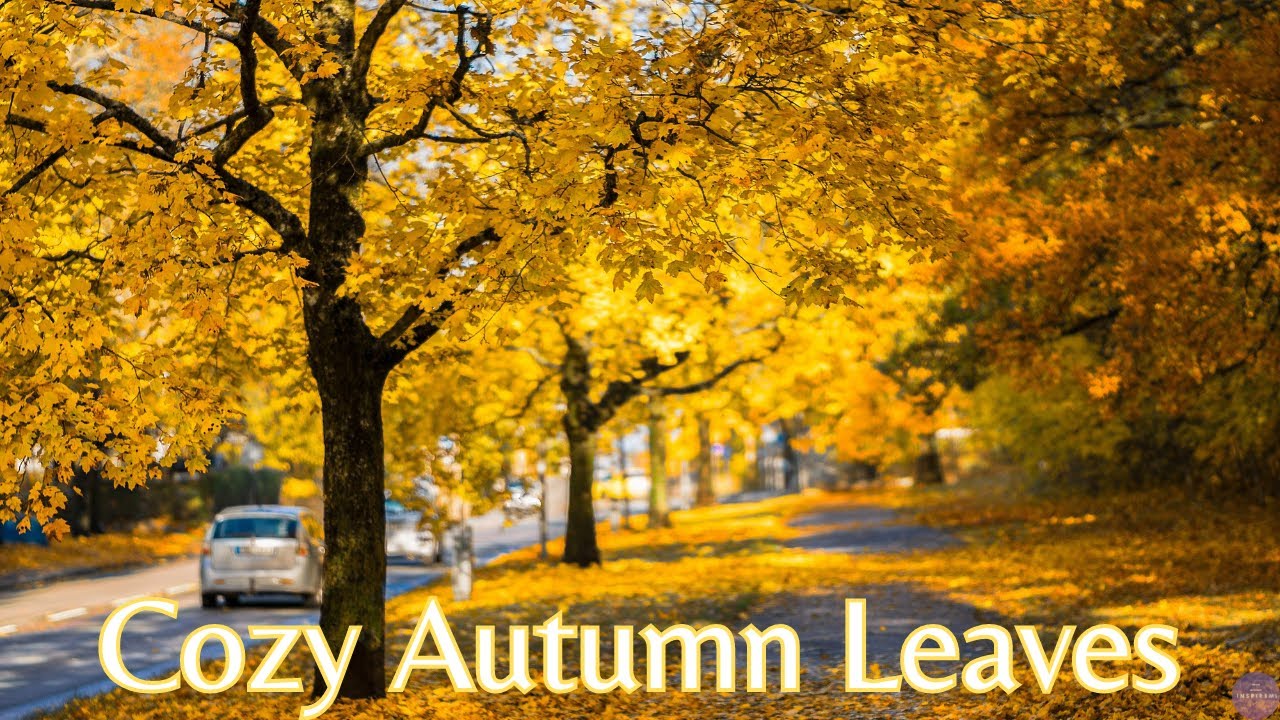 Cozy Autumn Relaxing Nature Sounds Fall Ambience Warm Guitar and Piano ...