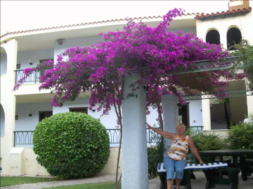 Athena Palace - YouTube