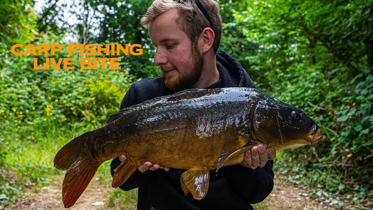 CARP FISHING - LIVE BITE! - YouTube