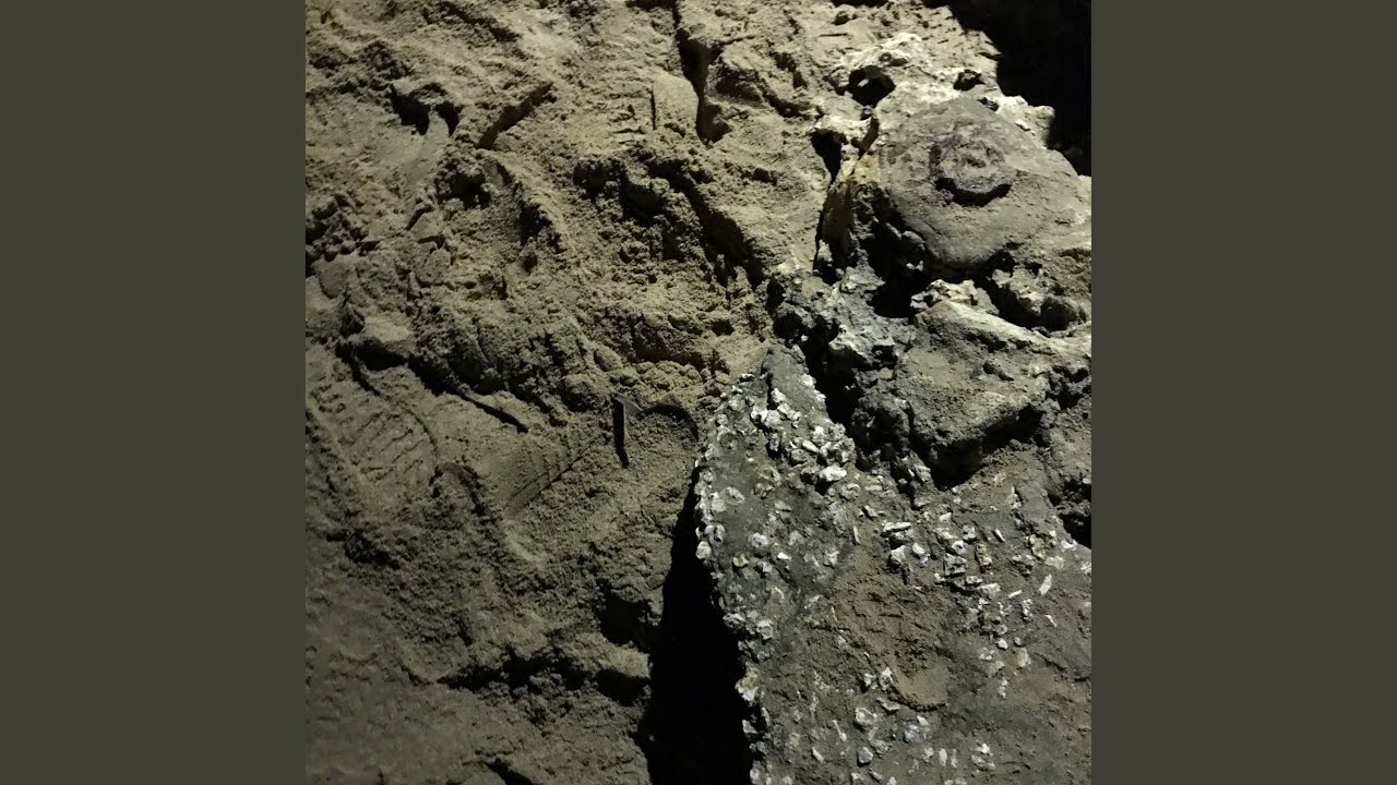 Dis A Pear - YouTube