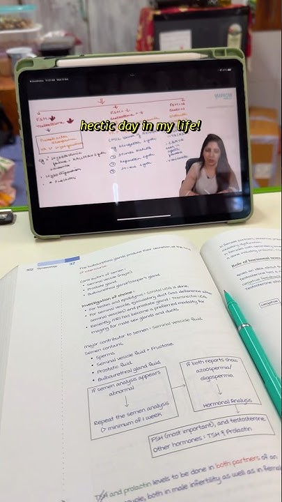 real *STUDY* day in MBBS! 🩺 #minivlog #mbbsstudent - YouTube