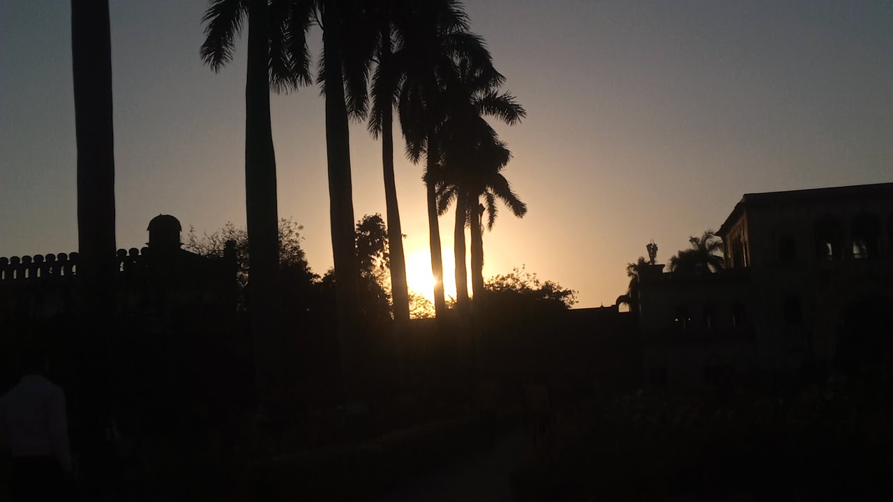 BLUE MAFIA ARMY Live Stream - YouTube