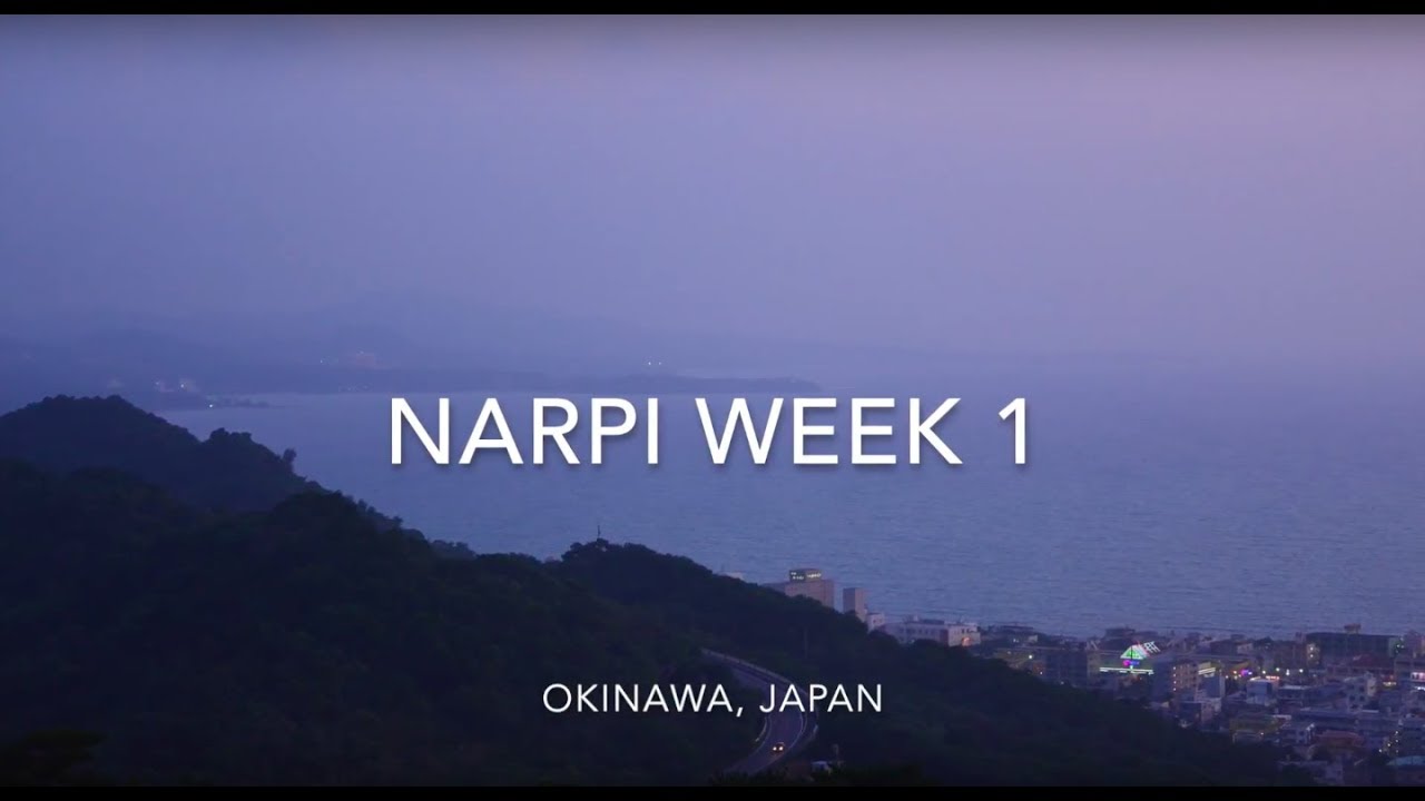NARPI 2017 Week 1 - YouTube