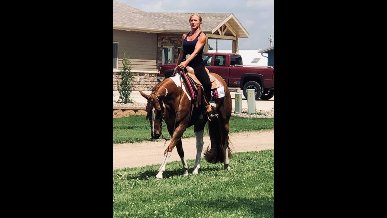 2008 Paint and Pinto Gelding For Sale - YouTube