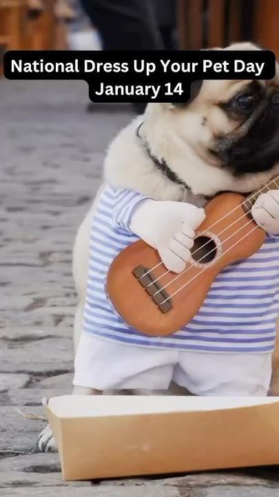 National Dress Up Your Pet Day-January 14😌#petdressup#petcostume # ...