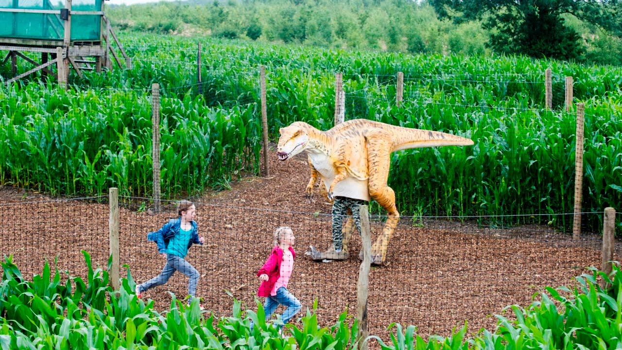 Raptor Run and Dinosaurs at the Adventure Farm - YouTube