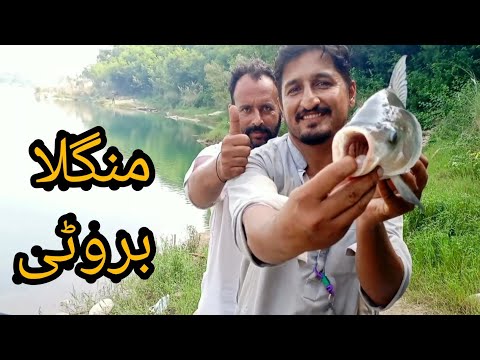Catla Fish Hunting | Mangla Brooti | Mangla Dam Fishing |Muhammad Saad