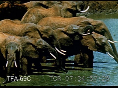 Adventure Album #6 1950s - YouTube