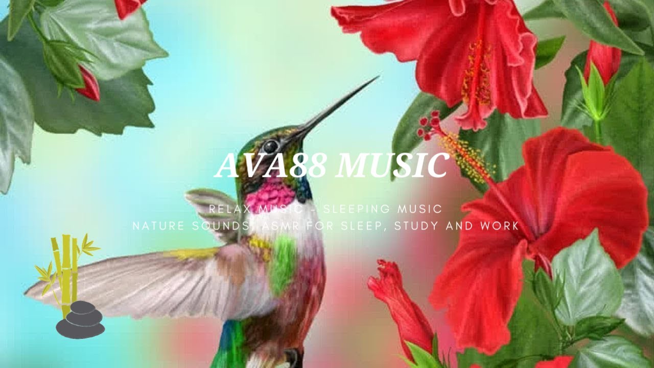 Nature sounds forest | Sounds Birds | Reduce Stress | Relax | Study ...