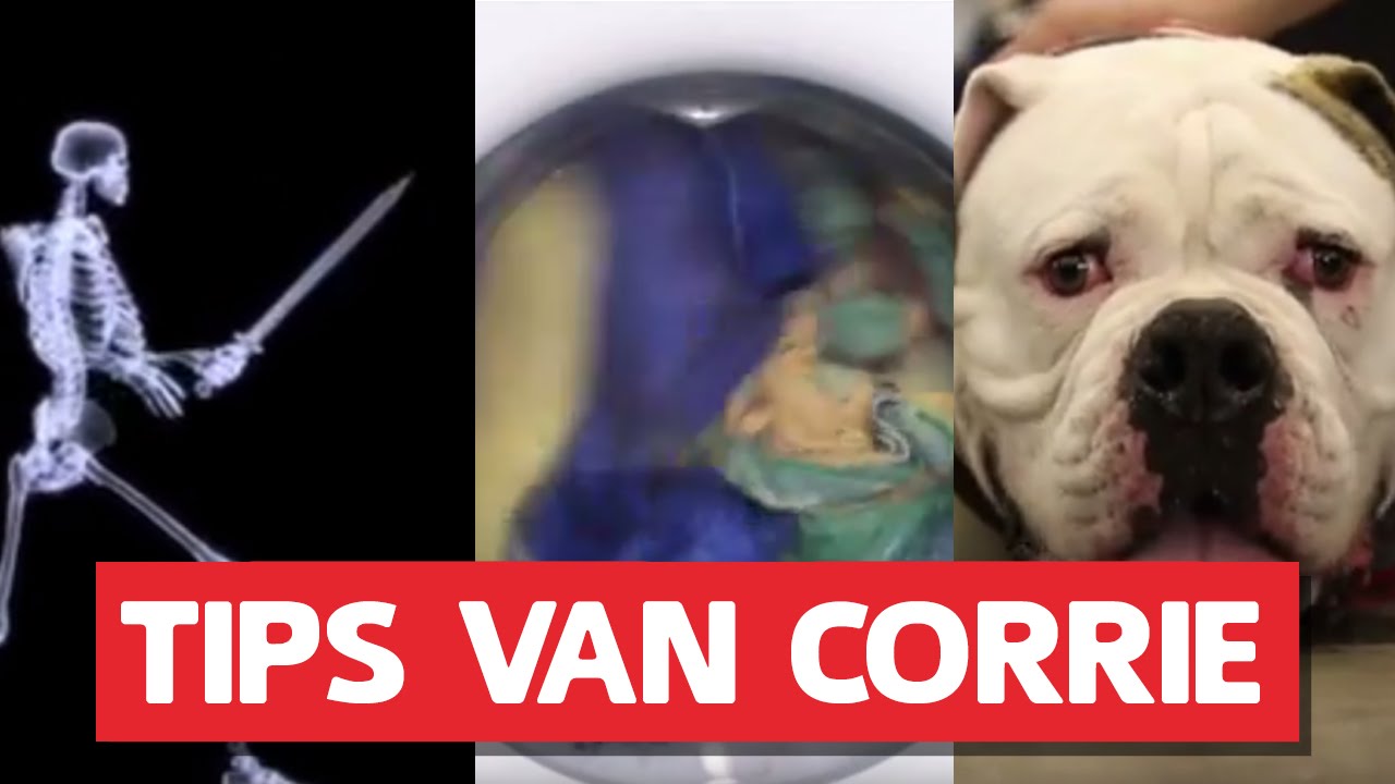 Hoe moet je tongzoenen? | De Dokter Corrie Show - YouTube