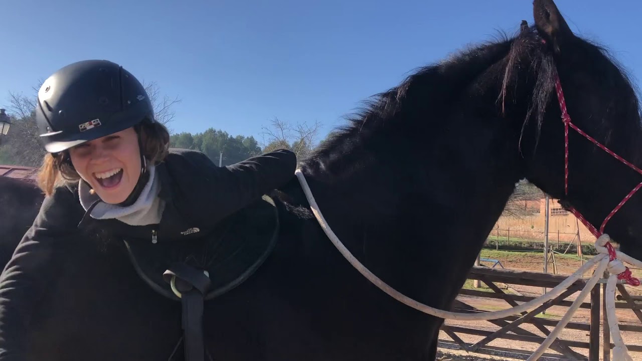 COMO MONTAR UN POTRO POR PRIMERA VEZ EN UNA HORA - YouTube