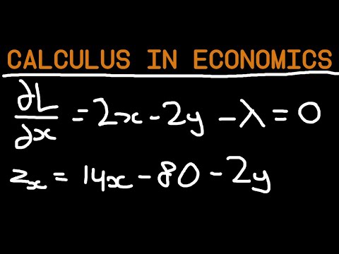 How calculus can be used in economic analysis - YouTube