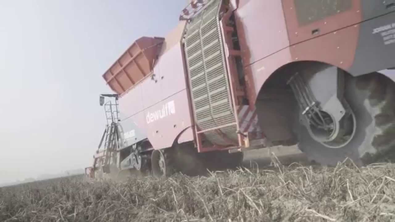 Dewulf Kwatro - 4-row self-propelled potato harvester - YouTube