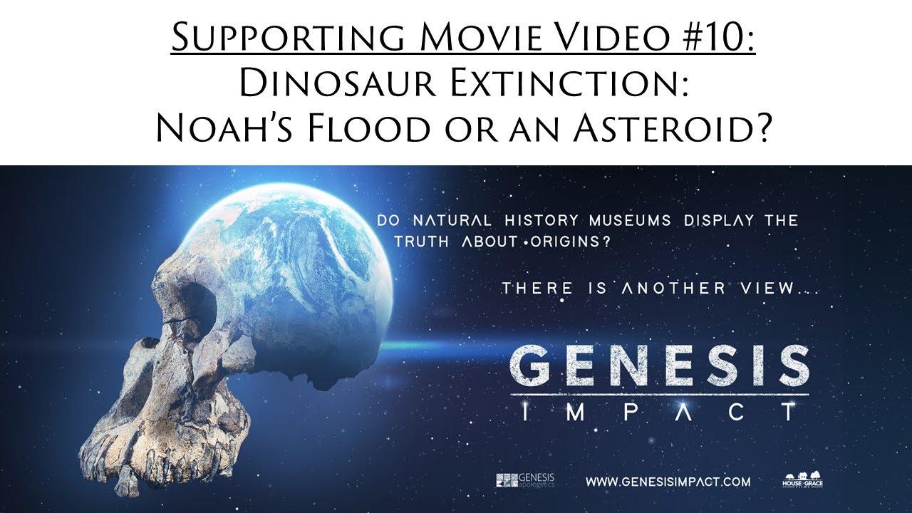 Genesis Impact Support Video 10 | Dinosaur Extinction: Noah's Flood or ...