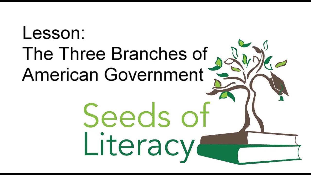 Lesson | The Three Branches of American Government - YouTube
