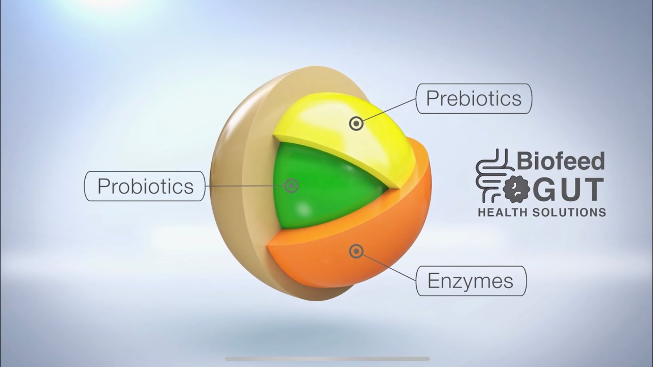 Biofeed Technology - Gut health and performance solutions - YouTube
