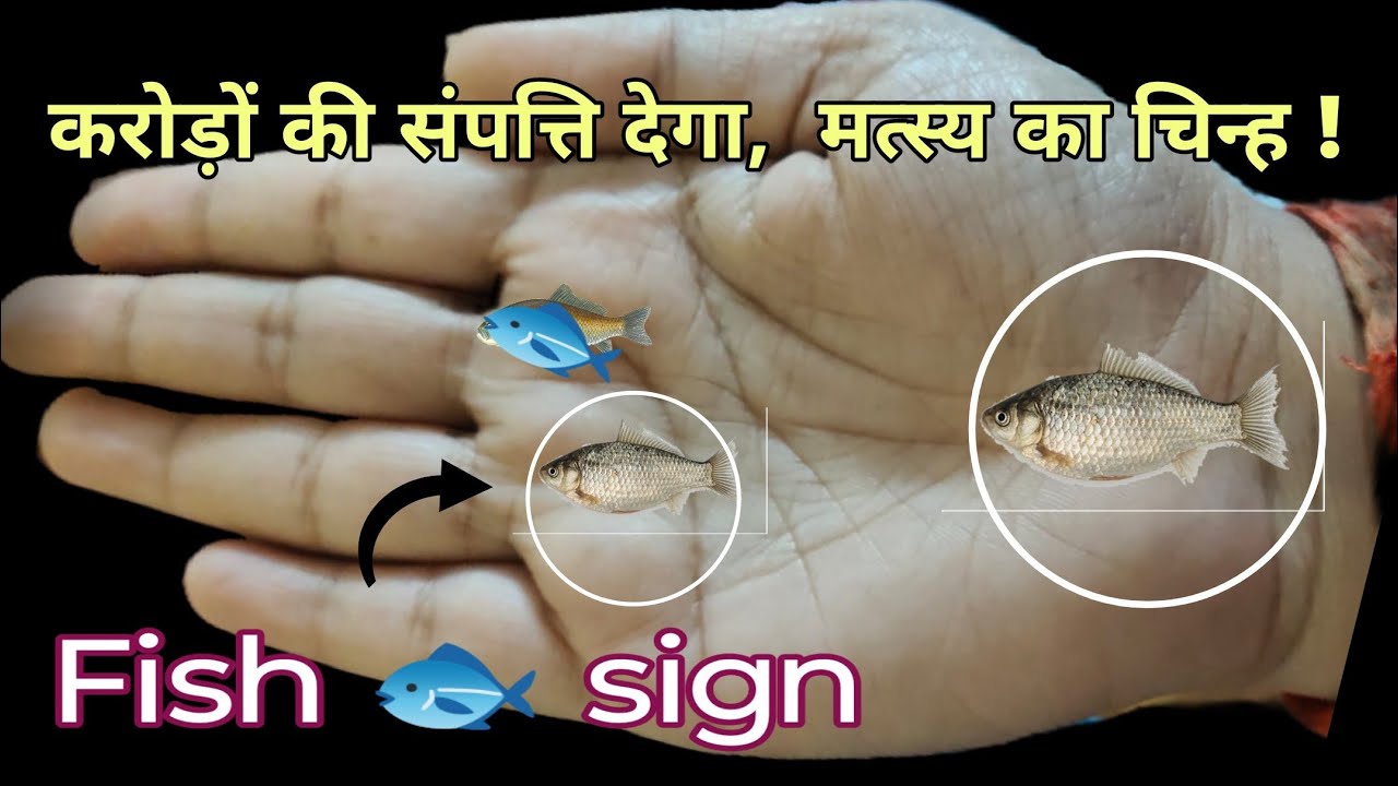 क्या आपके हाथ में भी है मछली का चिन्ह | fish sign on palm | lucky sign ...