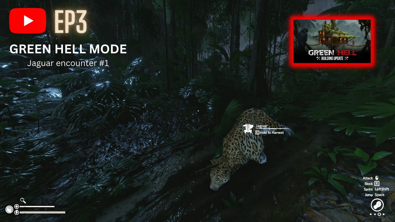 Green Hell Mode - Builder's Update Live - Relocating - Ep3 - YouTube